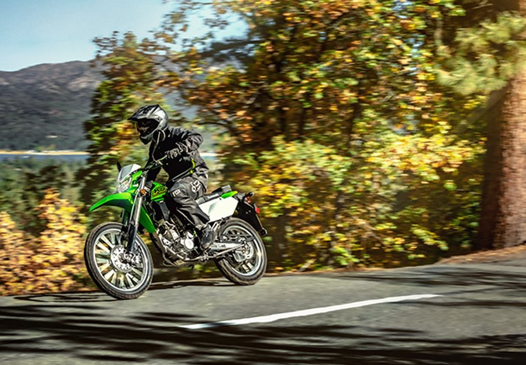 Kawasaki KLX300 | Dual-Purpose Motorcycle | Versatile Performance