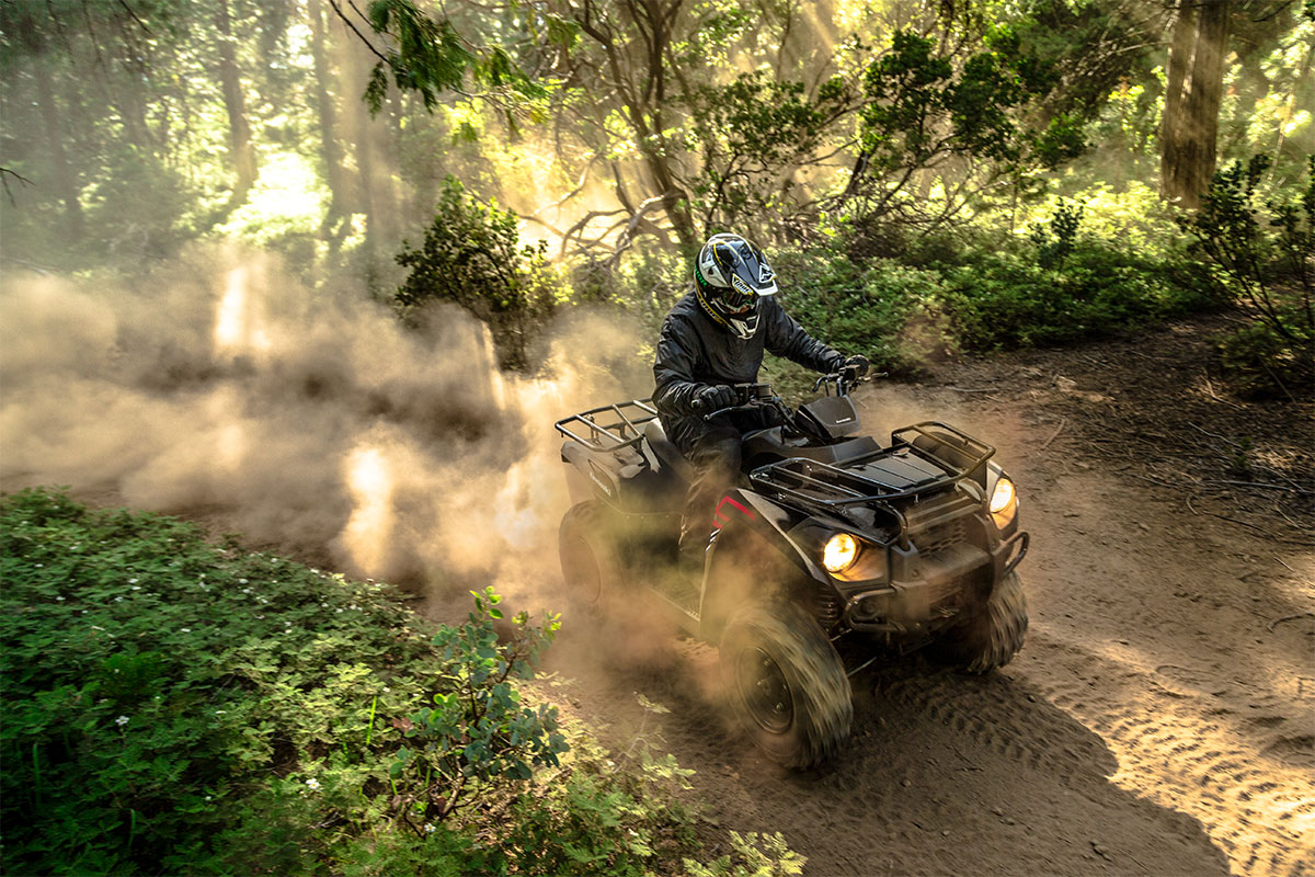 Stunning 2023 Kawasaki Brute Force 300 Gallery
