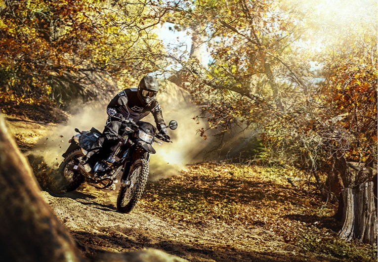 Kawasaki KLX®300 | Dual-Sport Bike | Capable & Powerful