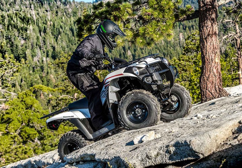 Kawasaki Brute Force® 300 | ATV | Ultimate Outdoor Accomplice
